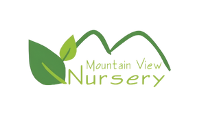 Correa Dusky Bells – Mountain View Nursery